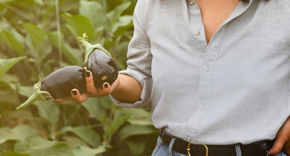 Organic Shop - Trinity Farm Organics