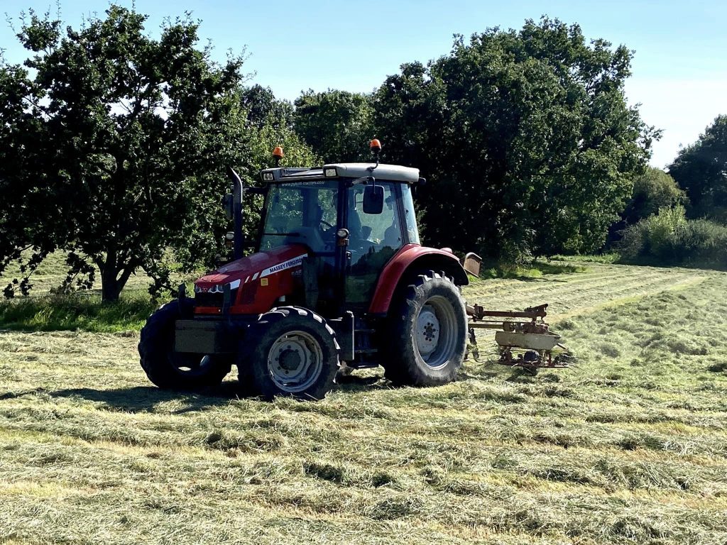 Trinity Farm - Trinity Farm Organics