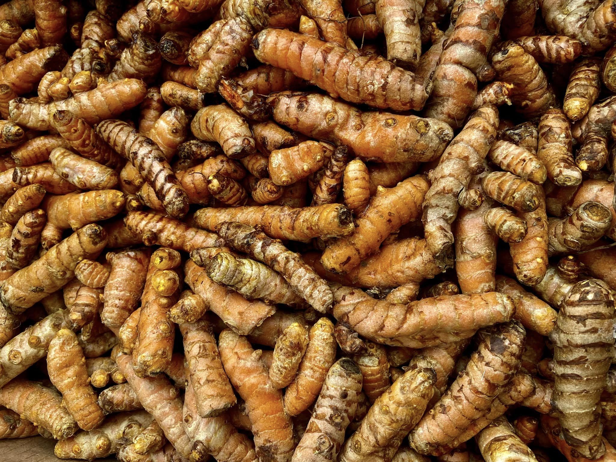 The magic of Turmeric - Trinity Farm Organics