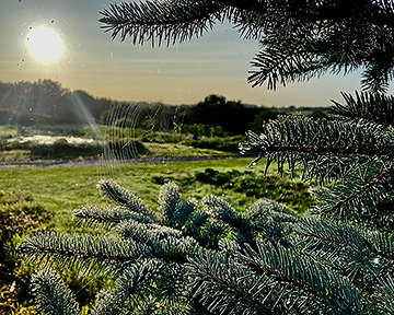 Home - Trinity Farm Organics