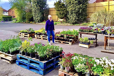 Plant Nursery - Trinity Farm Organics