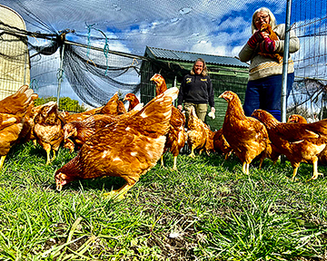 Home - Trinity Farm Organics