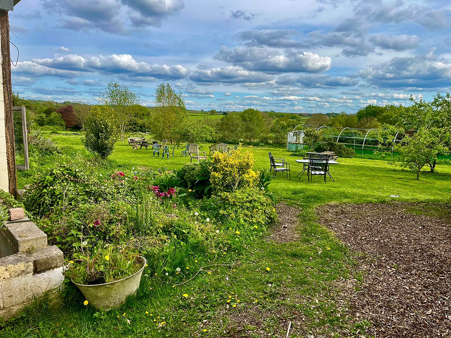 Garden centre Nottinghamshire - Trinity Farm Organics